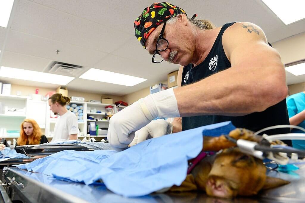 Dr. Jeff Biografía, Wiki, Padres, Ex-Esposa, Vivo o Muerto, Patrimonio Neto